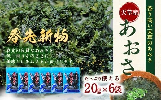 天草産あおさ（乾燥）20g×6袋 計120g あおさ 海藻 のり 海苔 乾燥 アオサ お吸い物 味噌汁 熊本県 上天草市（熊本県上天草市） | ふるさと納税サイト「ふるさとプレミアム」