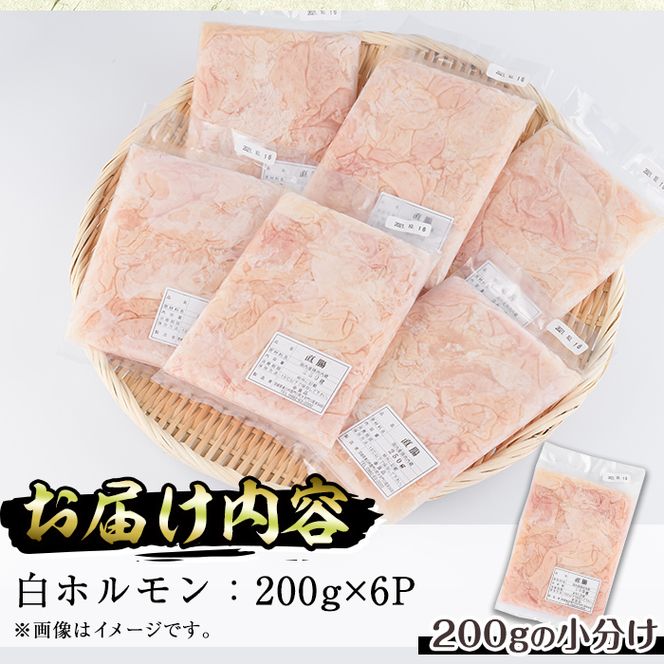 白ホルモン(約計1.2kg・200g×6P)豚肉 もつ モツ 小分け 冷凍 国産 おかず おつまみ【J-5】【幸食品】（宮崎県門川町） | ふるさと納税サイト「ふるさとプレミアム」
