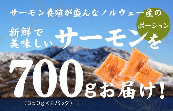 010B1329 北極圏サーモン ポーション 700g【小分け 350g×2P 海鮮丼 人気 オススメ 小分け 冷凍 簡単調理 一人暮らし 東洋冷蔵】（大阪府泉佐野市） | ふるさと納税サイト ...