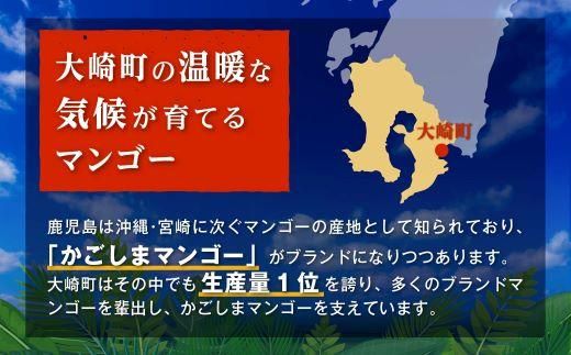 大崎完熟マンゴー「郷の恵（さとのめぐみ）」中3玉 464686_BD006（鹿児島県大崎町） | ふるさと納税サイト「ふるさとプレミアム」