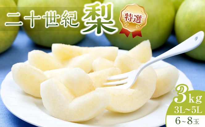 281.【先行予約】二十世紀梨 特選 3kg 3L～5L 6～8玉前後 ※2025年8月下旬～9月下旬頃に順次発送予定 313726_AN057（鳥取県北栄町） | ふるさと納税サイト ...