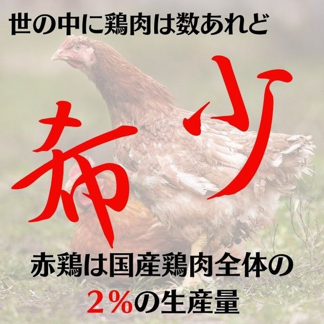【訳あり】丹波赤どり ミンチ 3.3kg（300g × 11袋）京都亀岡丹波山本 《鶏 鶏肉 ひき肉 小分け フードロス削減》 SDGs未来都市亀岡（京都府亀岡市） | ふるさと納税サイト ...