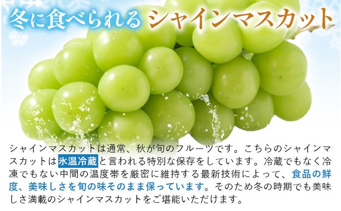 【先行予約】岡山県産 冷蔵 シャインマスカット 2房 (530g以上) 【配送不可地域あり】 《11月中旬-12月末頃に出荷予定(土日祝除く)》 岡山県 矢掛町 マスカット ぶどう 葡萄 氷温 ...