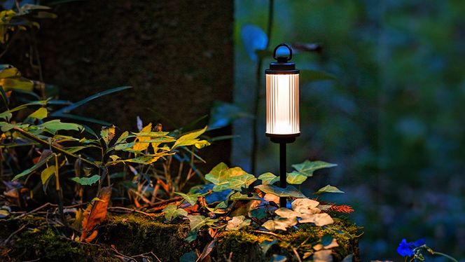 LEDランタン 38灯 ASINOSTANDSET Dリング付き ブラック 3点 LEDランタン 38灯 ASINOSTANDSET Dリング付き ブラック 3点
