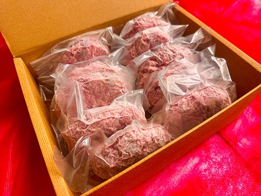 近江牛100％ プレミアム生ハンバーグ1.2kg（約120g×10個）【FO19U】（滋賀県近江八幡市） | ふるさと納税サイト「ふるさとプレミアム」