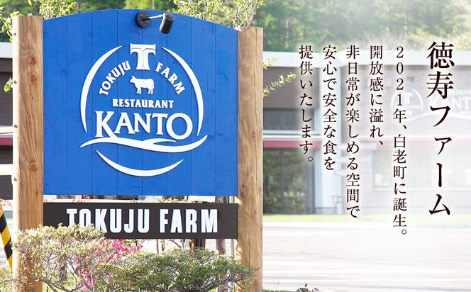 和牛 粗びき 生 ハンバーグ 8個セット デミグラスソース付き 160g×8袋 BJ052（北海道白老町） | ふるさと納税サイト「ふるさとプレミアム」