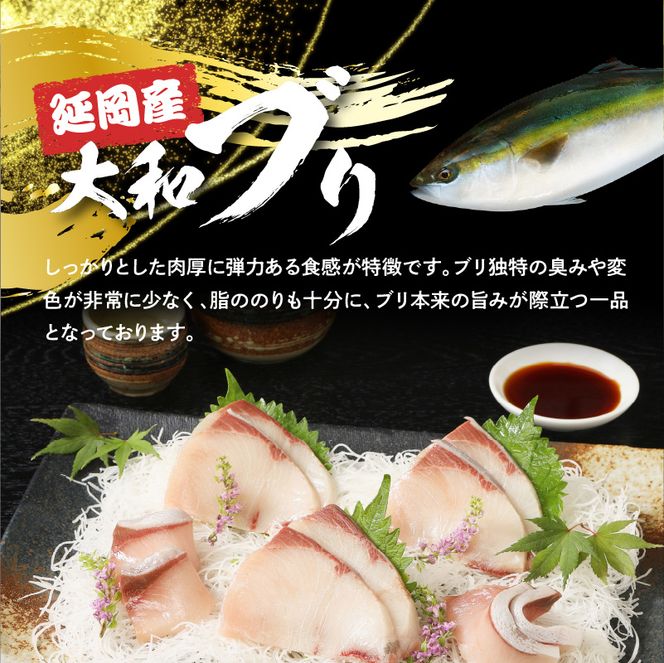 【大和海商】大和ブリの切り身たっぷりセット 6ヶ月定期便 N072-YG0185（宮崎県延岡市） | ふるさと納税サイト「ふるさとプレミアム」