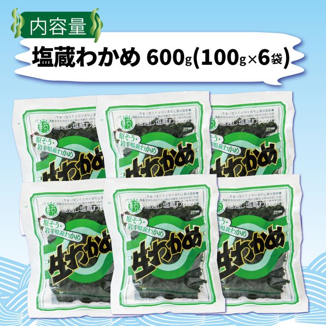 三陸わかめ 塩蔵わかめ 600g 100g×6袋 わかめ ワカメ 海藻 小分け わかめしゃぶしゃぶ 酢の物 1万円 10000円 [56500357_1]（岩手県大船渡市） | ふるさと納税 ...