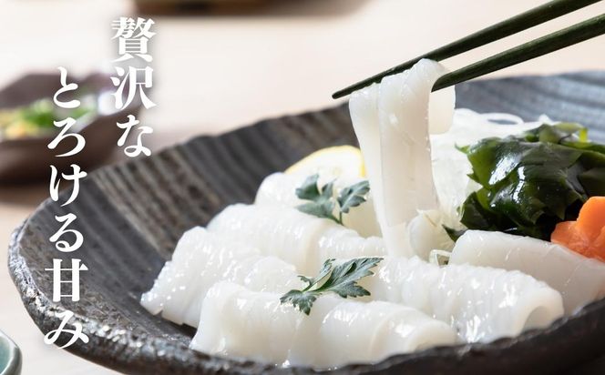 【島獲れ白いか】ブランドイカ 白いか130g 4杯セット（島根県海士町） | ふるさと納税サイト「ふるさとプレミアム」