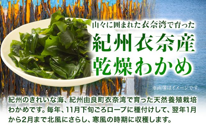 紀州衣奈産 乾燥わかめ 450g 150g×3パック 2025年産 スマイル《30日以内に出荷予定(土日祝除く)》 和歌山県 日高町 ワカメ お味噌汁 サラダ 酢の物---wsh_sml20 ...