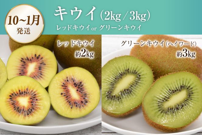 【CF01】BG083【全4回】厳選！島原の人気フルーツ定期便（長崎県島原市） | ふるさと納税サイト「ふるさとプレミアム」