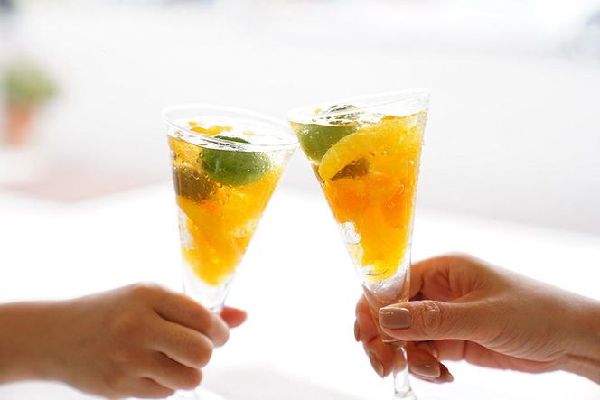 わかやまポンチ 4本セット T136（和歌山県有田川町） | ふるさと納税サイト「ふるさとプレミアム」