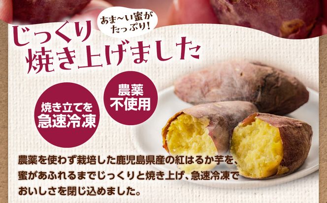 冷凍焼き芋（紅はるか）1.6kg K015-005（鹿児島県鹿児島市） | ふるさと納税サイト「ふるさとプレミアム」