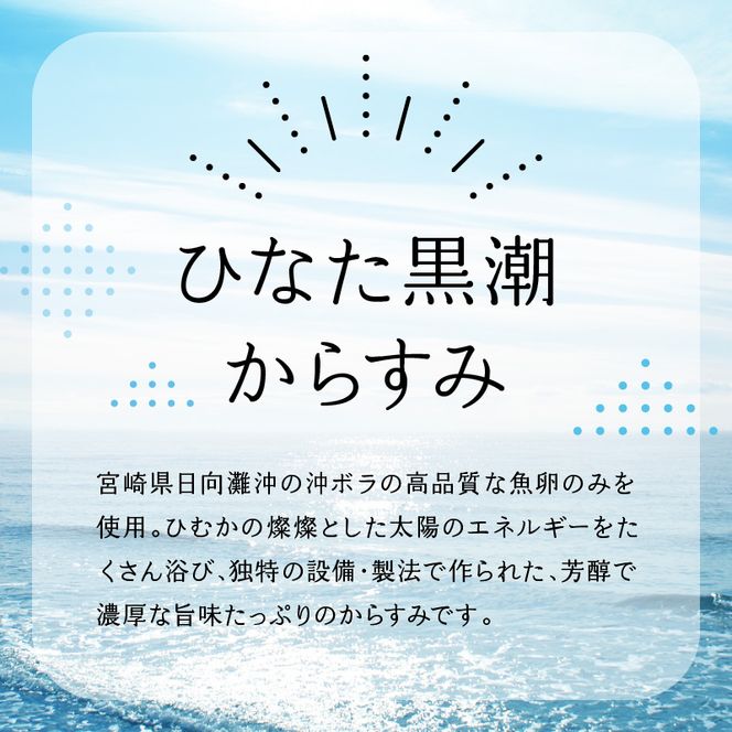 ”ひなた黒潮”からすみパスタソースセット 3種 各2パック N024-YZA3301（宮崎県延岡市） | ふるさと納税サイト「ふるさとプレミアム」