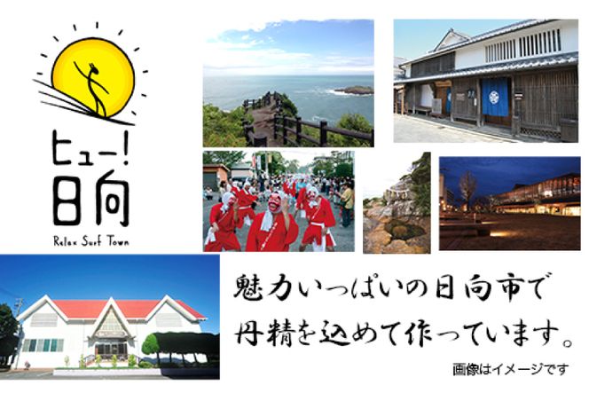 日本ハム 豚足 国産 炭火焼 とんそく 132g×10個 [日本ハムマーケティング 宮崎県 日向市 452060948] 豚 真空パック 冷蔵 ニッポンハム てびち テビチ コラーゲン（宮崎県 ...