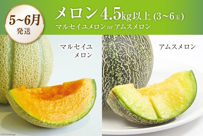 【CF01】BG083【全4回】厳選！島原の人気フルーツ定期便（長崎県島原市） | ふるさと納税サイト「ふるさとプレミアム」