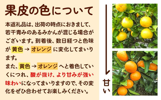 ゆら 早生 みかん 約 5kg (2S～Lサイズ) どの坂果樹園《10月中旬-12月上旬頃出荷予定》 和歌山県 日高町 みかん ゆら早生 旬 柑橘 フルーツ 果物 ミカン 蜜柑---wsh ...