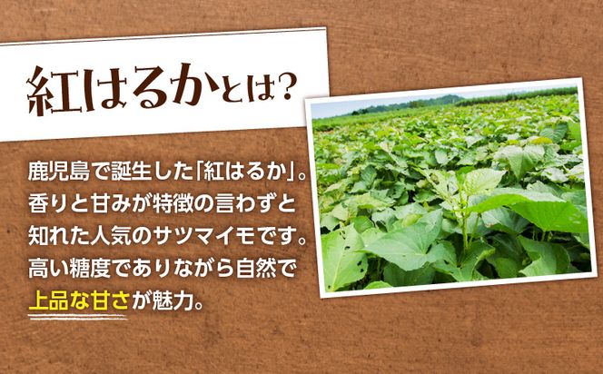 冷凍焼き芋（紅はるか）1.6kg K015-005（鹿児島県鹿児島市） | ふるさと納税サイト「ふるさとプレミアム」