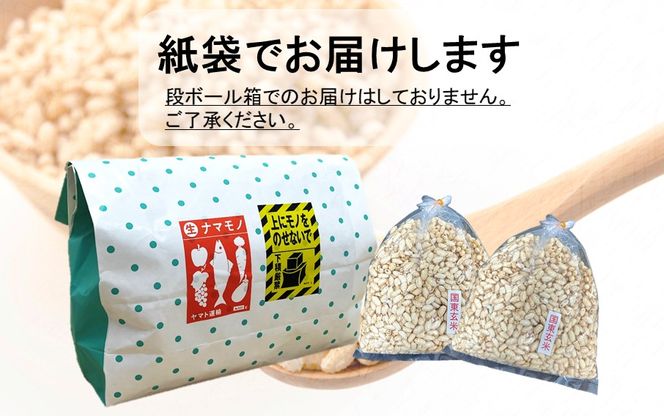 昔なつかしのポン菓子 60g×9袋 計540g_2384R（大分県国東市） | ふるさと納税サイト「ふるさとプレミアム」