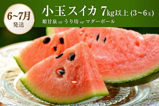 【CF01】BG083【全4回】厳選！島原の人気フルーツ定期便（長崎県島原市） | ふるさと納税サイト「ふるさとプレミアム」