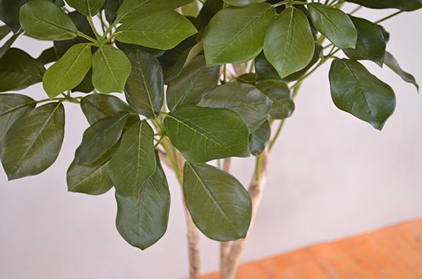 シェフレラ（造花） G-797（高知県越知町） | ふるさと納税サイト「ふるさとプレミアム」