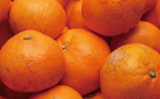 【先行予約】家庭用有田みかんサイズ混合(2S～2L)1kg+250g 11月より発送(完熟)/ みかん ミカン 有田みかん 柑橘 フルーツ 果物 和歌山 オレンジ【ikd210】（和歌山県 ...