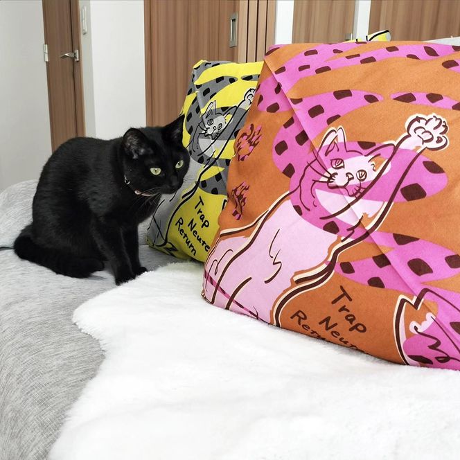 【三陽商事】地域猫活動 綿24幅ふろしき（リアン／イエロー） 261009_B-BY53（京都府京都市） | ふるさと納税サイト「ふるさとプレミアム」