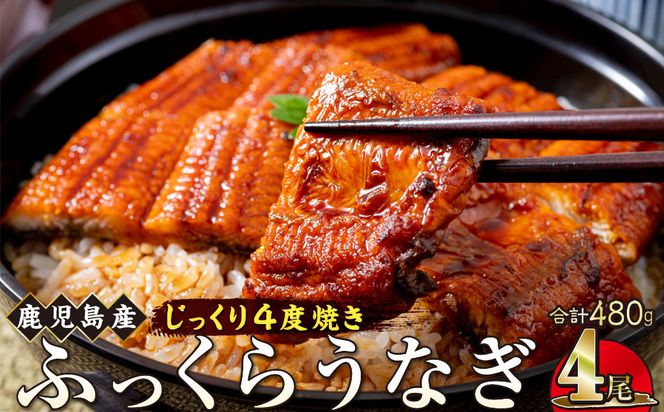 うなぎ 蒲焼 120g×4尾【鹿児島産】地下水で育てた絶品鰻 464686_AQ132（鹿児島県大崎町） | ふるさと納税サイト「ふるさとプレミアム」