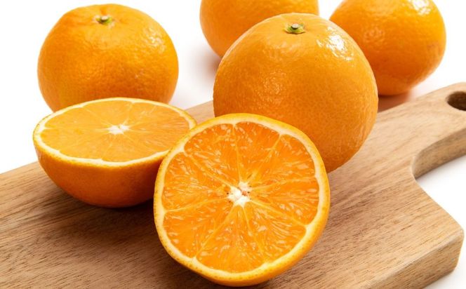 【先行予約】【秀品】清見タンゴール 3kg（L・2L）※離島への配送不可 （2026年3月上旬頃より順次発送） IKTAR011（愛媛県伊方町） | ふるさと納税サイト「ふるさとプレミアム」