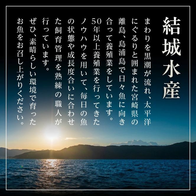 おまかせ3魚種×2P刺身用ブロックセット アラ付き N015-YB338（宮崎県延岡市） | ふるさと納税サイト「ふるさとプレミアム」