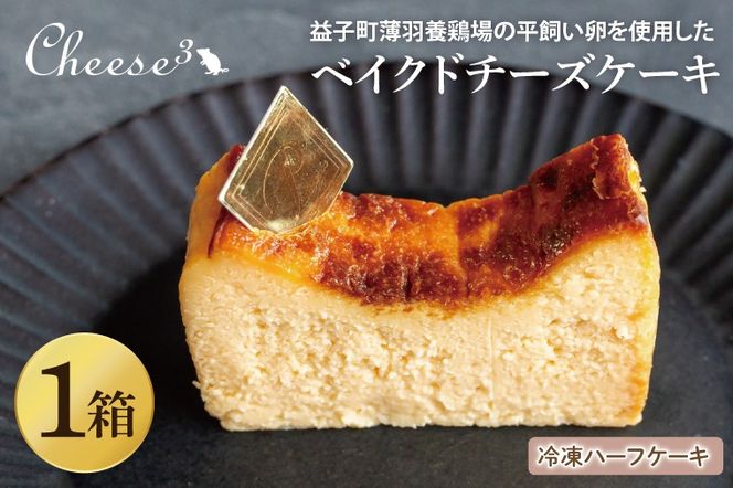 ベイクドチーズケーキ 冷凍ハーフケーキ｜栃木県 益子町 ふるさと納税 チーズケーキ ベイクドチーズケーキ ケーキ 冷凍ケーキ（CP004）（栃木県益子町） | ふるさと納税サイト「ふるさとプレミアム」