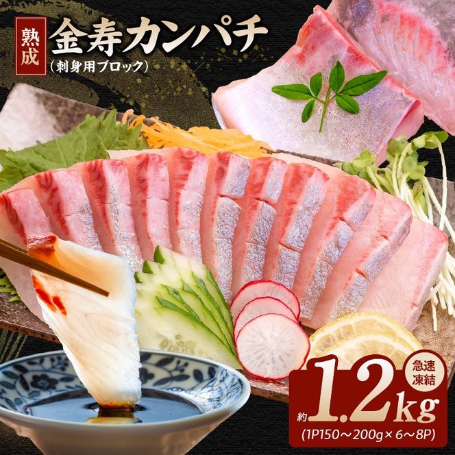 冷凍熟成金寿カンパチ1200g（刺身用ブロック） N015-YC077（宮崎県延岡市） | ふるさと納税サイト「ふるさとプレミアム」