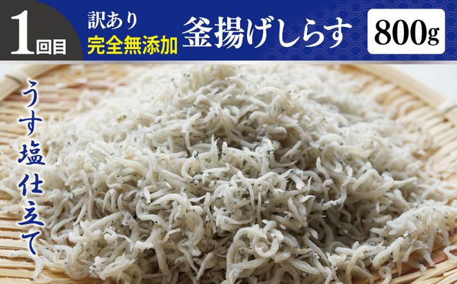 G1243 店主セレクト 食べ比べ 定期便 全4回（ハンバーグ／しらす／スンドゥブチゲ／サムギョプサル）【毎月配送コース】（大阪府泉佐野市 ...
