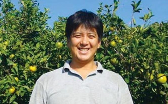 【先行予約】【秀品】清見タンゴール 3kg（L・2L）※離島への配送不可 （2026年3月上旬頃より順次発送） IKTAR011（愛媛県伊方町） | ふるさと納税サイト「ふるさとプレミアム」