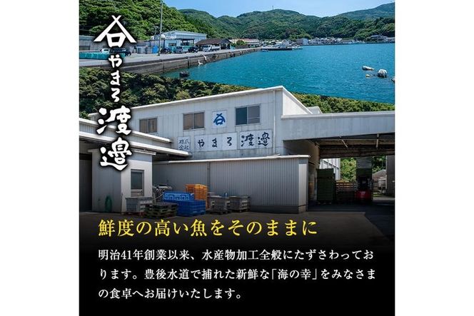 訳あり ＞ 大分県産 ひもの屋さんの 白身魚 フライ (計1.2kg・10切×3袋) おかず おつまみ 惣菜 お弁当 揚げるだけ 小分け フライ 国産 大分県産 冷凍 魚【AQ99】【やまろ ...