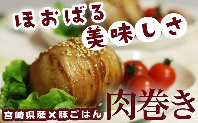 宮崎県産豚肉バラスライス3kg(真空)_18-8907（宮崎県都城市） | ふるさと納税サイト「ふるさとプレミアム」