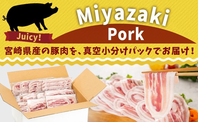 宮崎県産豚肉バラスライス3kg(真空)_18-8907（宮崎県都城市） | ふるさと納税サイト「ふるさとプレミアム」