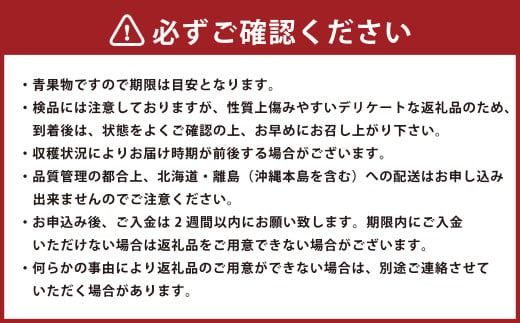博多あまおう（春） 約250g～270g×2パック 計約500g～540g【2026年2月上旬-4月下旬発送予定】 いちご 苺 イチゴ 果物 フルーツ（福岡県香春町） | ふるさと納税サイト ...