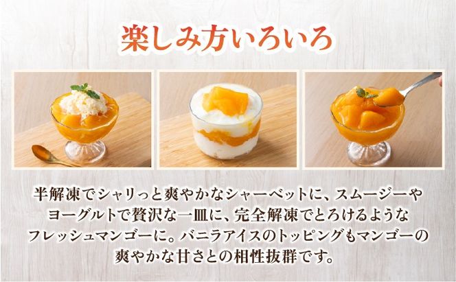 冷凍美ら姫マンゴー 1kg（500g×2袋）CB-3（沖縄県石垣市） | ふるさと納税サイト「ふるさとプレミアム」