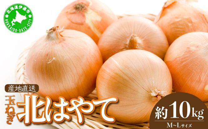 2025年 発送 】 先行予約 北海道 玉ねぎ 10kg M-L混合 北はやて タマネギ たまねぎ 玉葱 玉ネギ オニオン 伊達野菜 野菜 新鮮 採れたて 産地直送 サラダ マリネ 肉じゃが ...