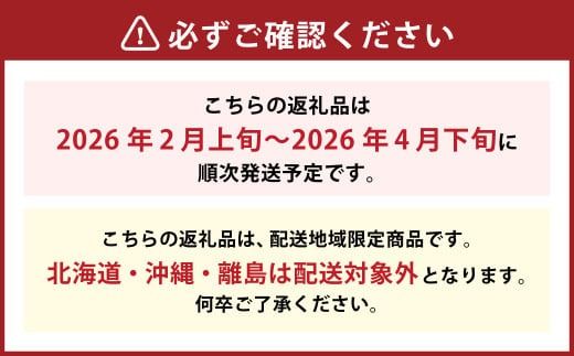 博多あまおう（春） 約250g～270g×6パック 計約1.5kg～1.62kg【2026年2月上旬-4月下旬発送予定】いちご 苺 イチゴ 果物 フルーツ（福岡県香春町） | ふるさと納税 ...