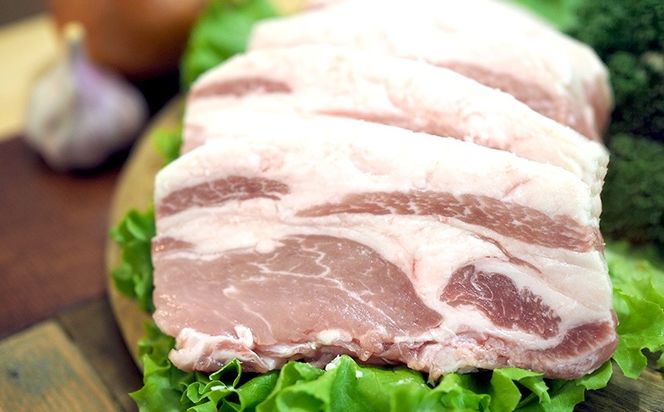 【3ヵ月定期便】【美ら島あぐー】ロースステーキ 600g（120g×5枚） あぐー ロース肉 沖縄 大宜味村 豚肉 小分け 国産 おつまみ こだわり ぶた アグー 加工品 おいしい 美味しい ...