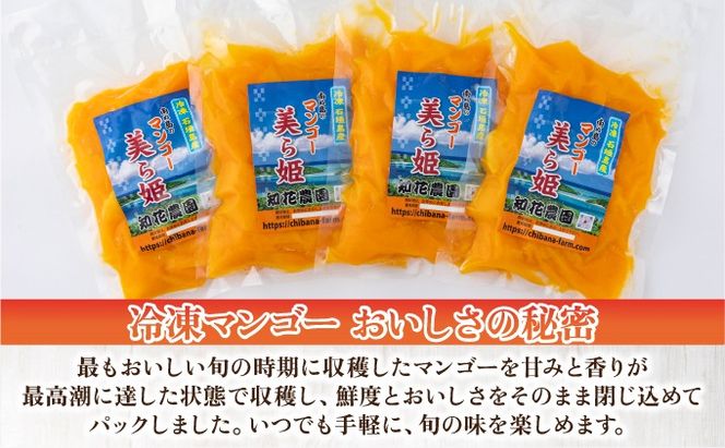 冷凍美ら姫マンゴー 1kg（500g×2袋）CB-3（沖縄県石垣市） | ふるさと納税サイト「ふるさとプレミアム」