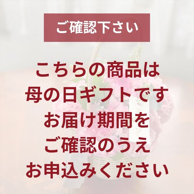 41-2921 《母の日限定》カーネーションのブーケ＜出荷時期：2025年4月～5月中＞【 花 お花 神奈川県 小田原市 】（神奈川県小田原市 ...