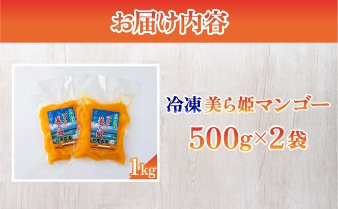 冷凍美ら姫マンゴー 1kg（500g×2袋）CB-3（沖縄県石垣市） | ふるさと納税サイト「ふるさとプレミアム」