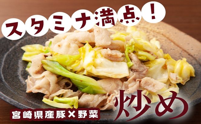 宮崎県産豚肉バラスライス3kg(真空)_18-8907（宮崎県都城市） | ふるさと納税サイト「ふるさとプレミアム」