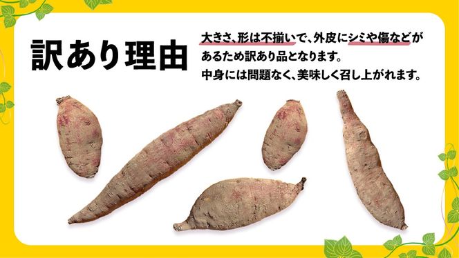 訳あり さつまいも 紅はるか 約 5kg 土付き 無選別 茨城 八千代町産 生芋 サツマイモ さつま芋 焼き芋 やきいも 芋 イモ 野菜 不揃い 規格外 長期熟成 おやつ デザート 秋 旬 ...
