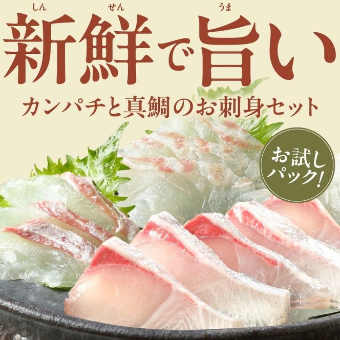 カンパチと真鯛の新鮮お刺身セット 少量お試しパック N019-YA193（宮崎県延岡市） | ふるさと納税サイト「ふるさとプレミアム」