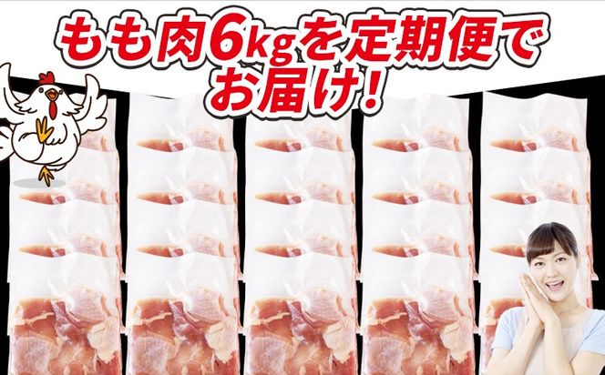 ＜宮崎県産若鶏切身 もも肉 6kg（300g×20袋）6か月定期便＞翌々月までに初回発送【 からあげ 唐揚げ カレー シチュー BBQ 煮物 チキン南蛮 小分け おかず おつまみ お弁当 惣菜 ...